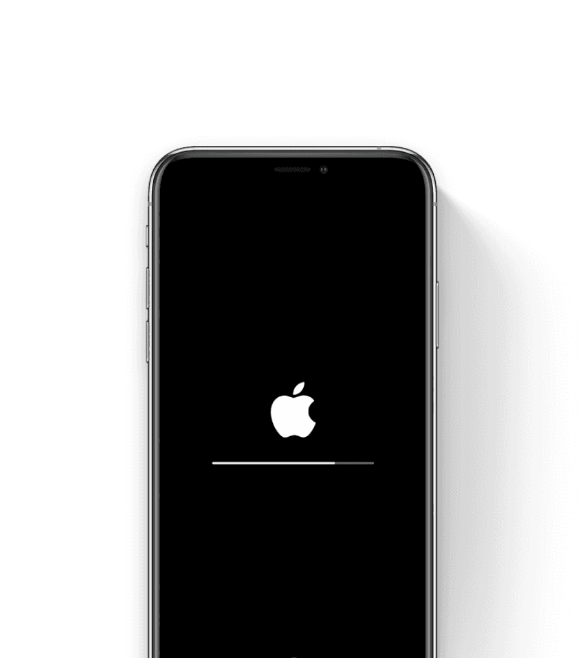 About Us - Reebelo Australia